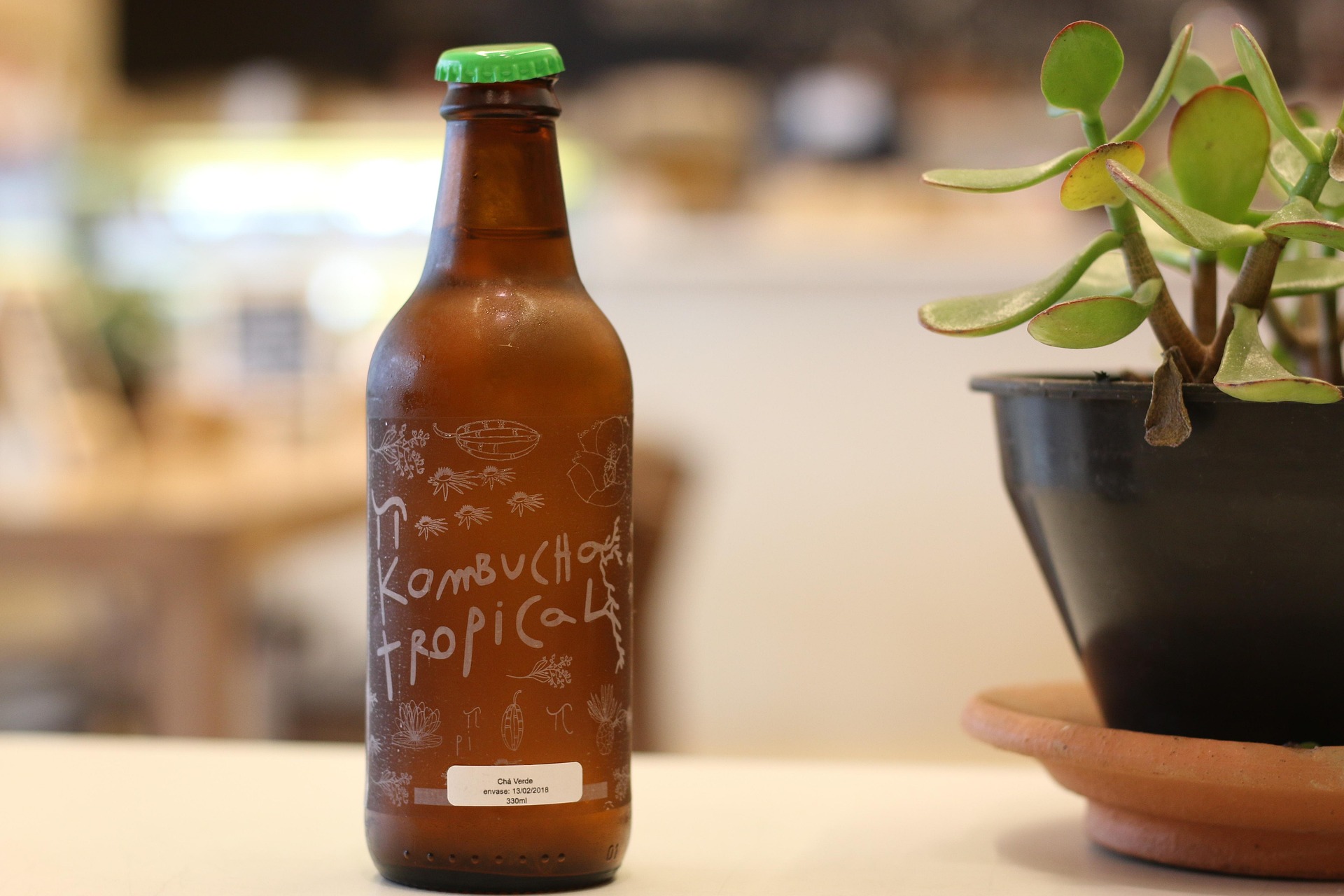 Yuk Intip Kombucha Lokal Indonesia: Bons Fabriek - Diet Partner